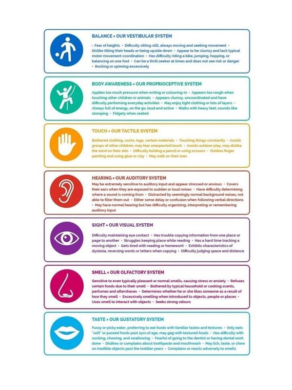 The Different Senses